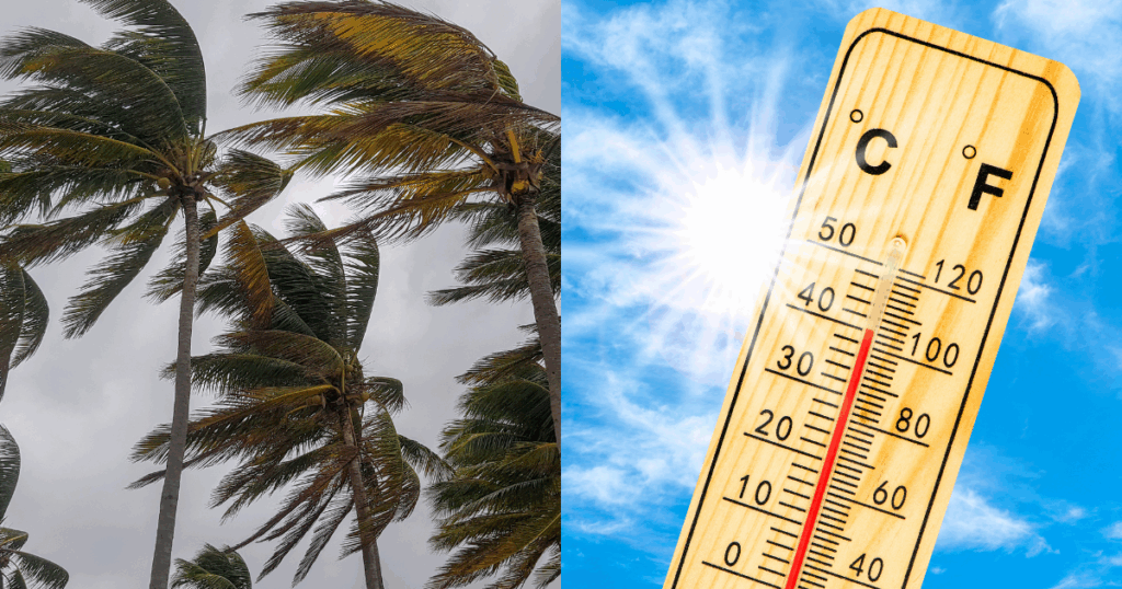 Alerte météo : vague de chaleur et fortes rafales de vent jusqu'à ...
